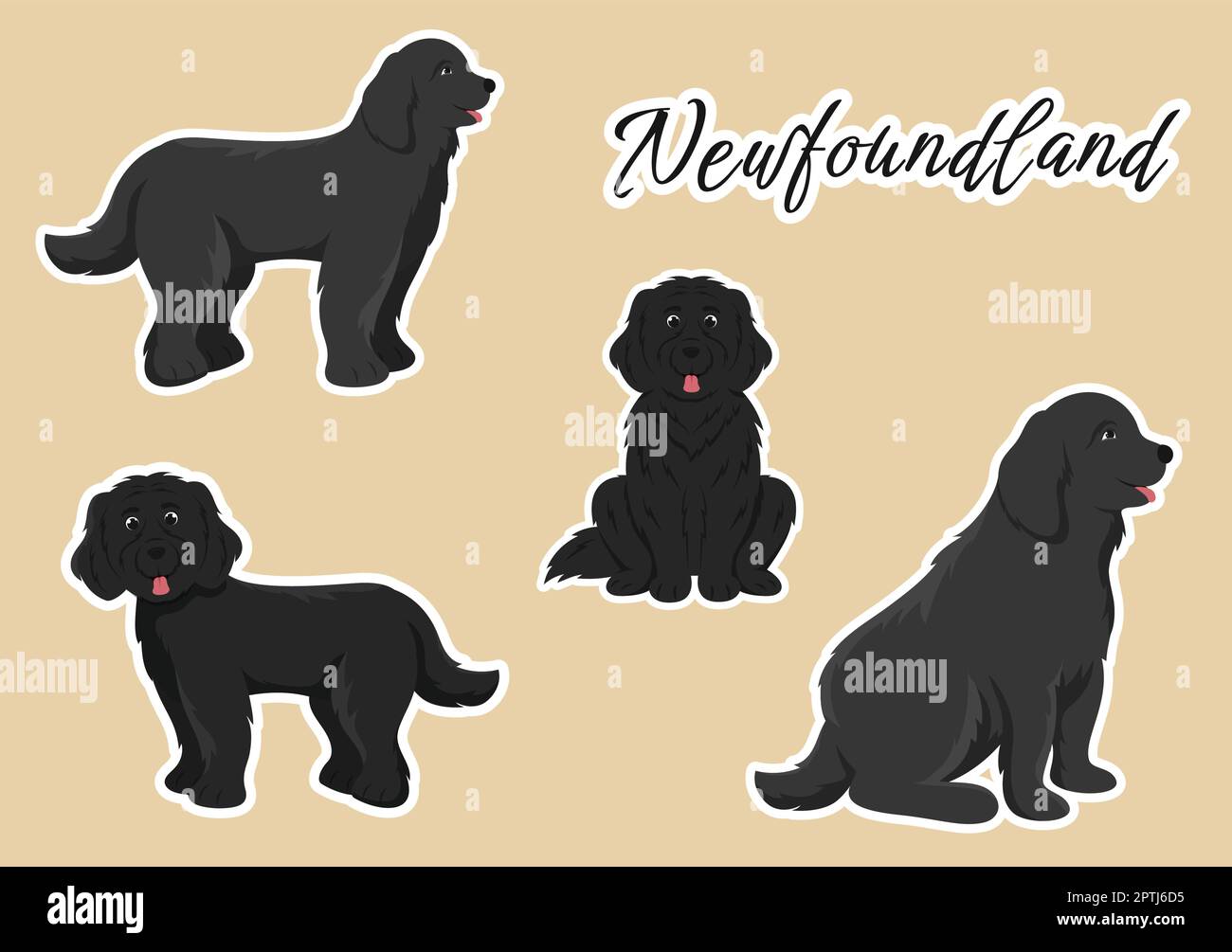 Newfoundland Dog Animals with Black, Brown or Landseer Color in Flat ...