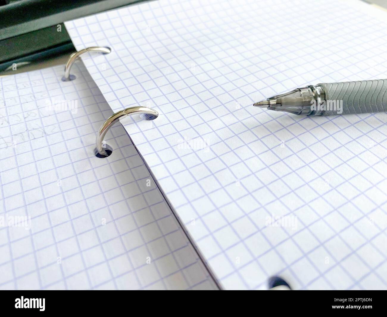 a sheet of white paper in a cage from a notebook. diary to record all ...