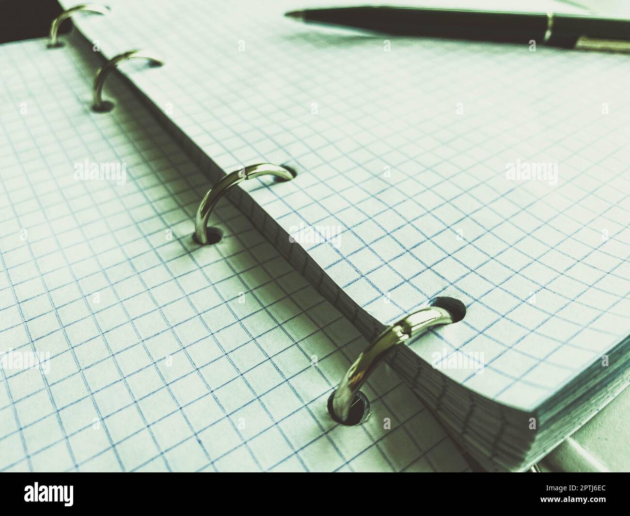 on the table lies a notepad for notes on paper clips in small cells ...