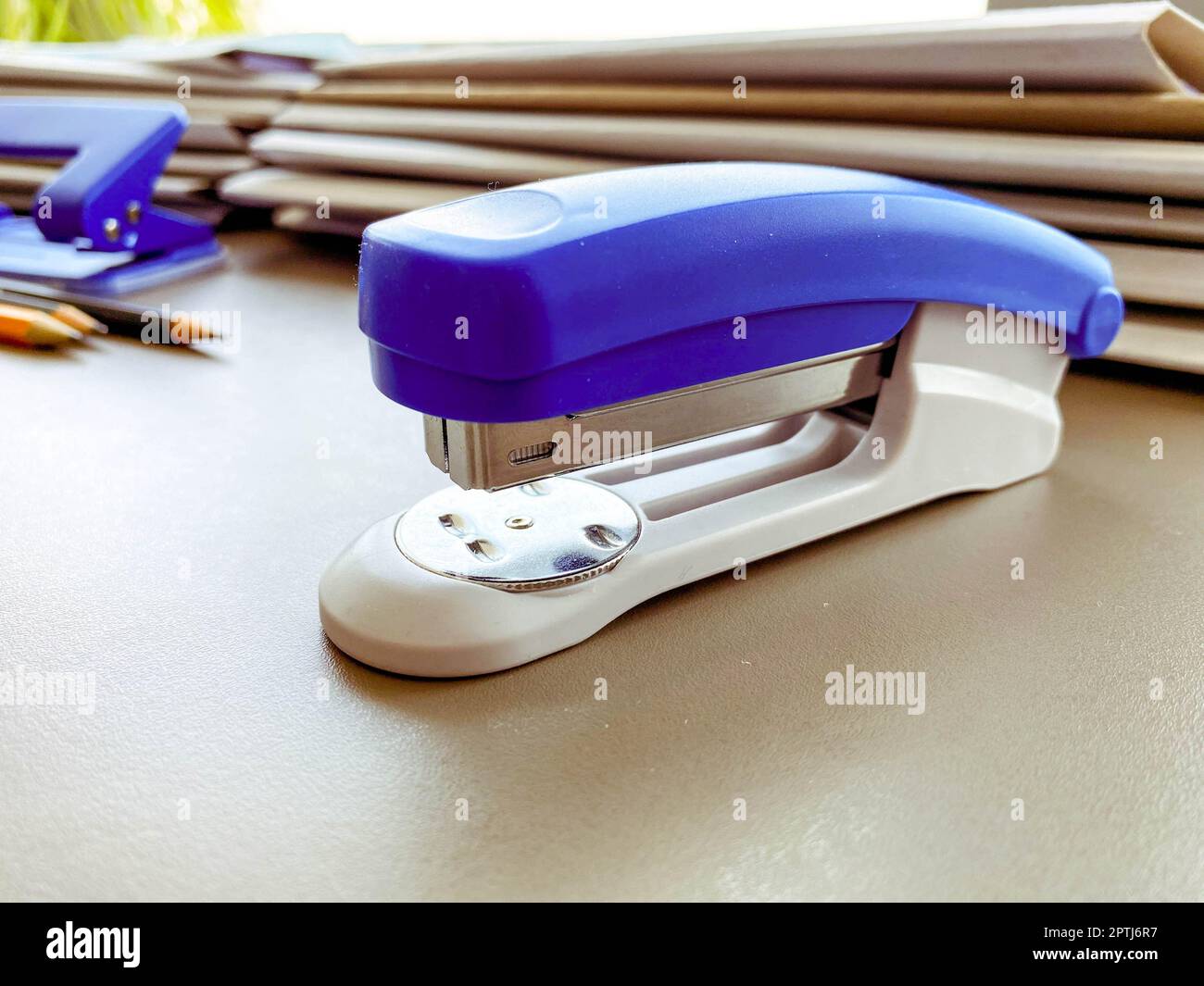 office supplies for work. blue stapler for fastening documents ...