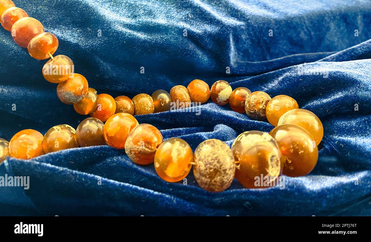 bright, orange amber beads on a blue velvet backing. museum exhibit on ...