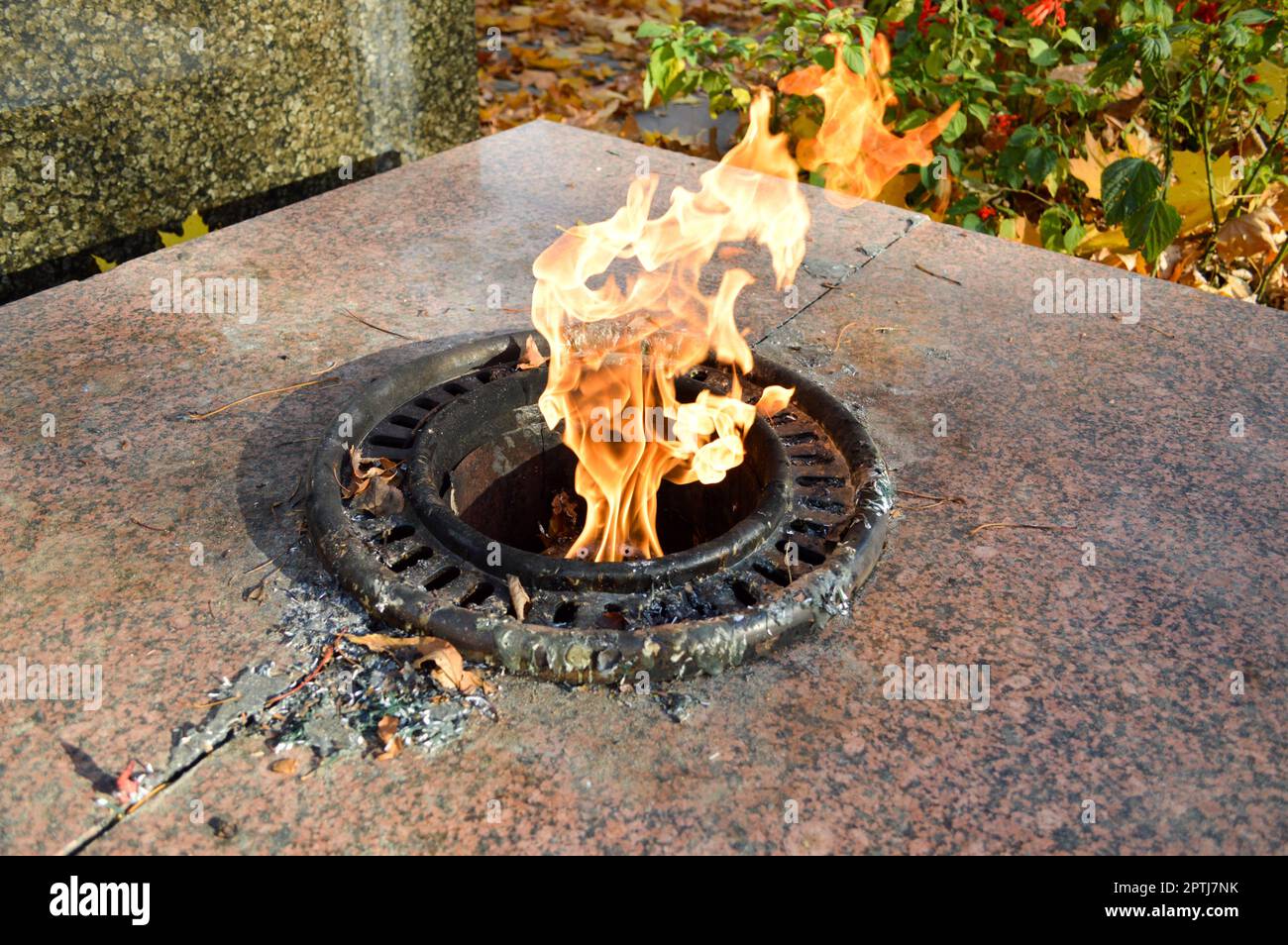 Orange is a beautiful warm hot eternal flame burning from the ground in ...