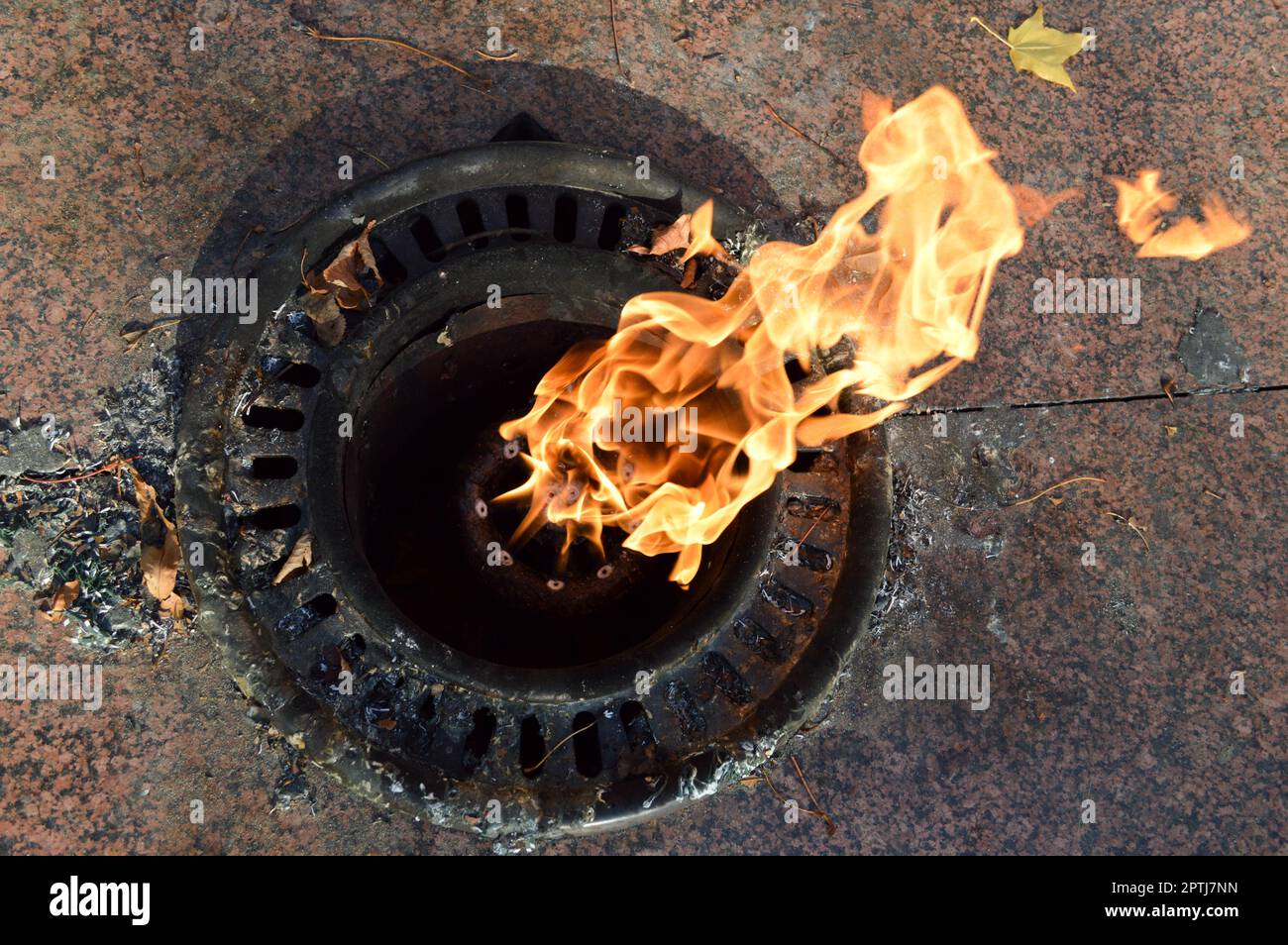 Orange is a beautiful warm hot eternal flame burning from the ground in ...