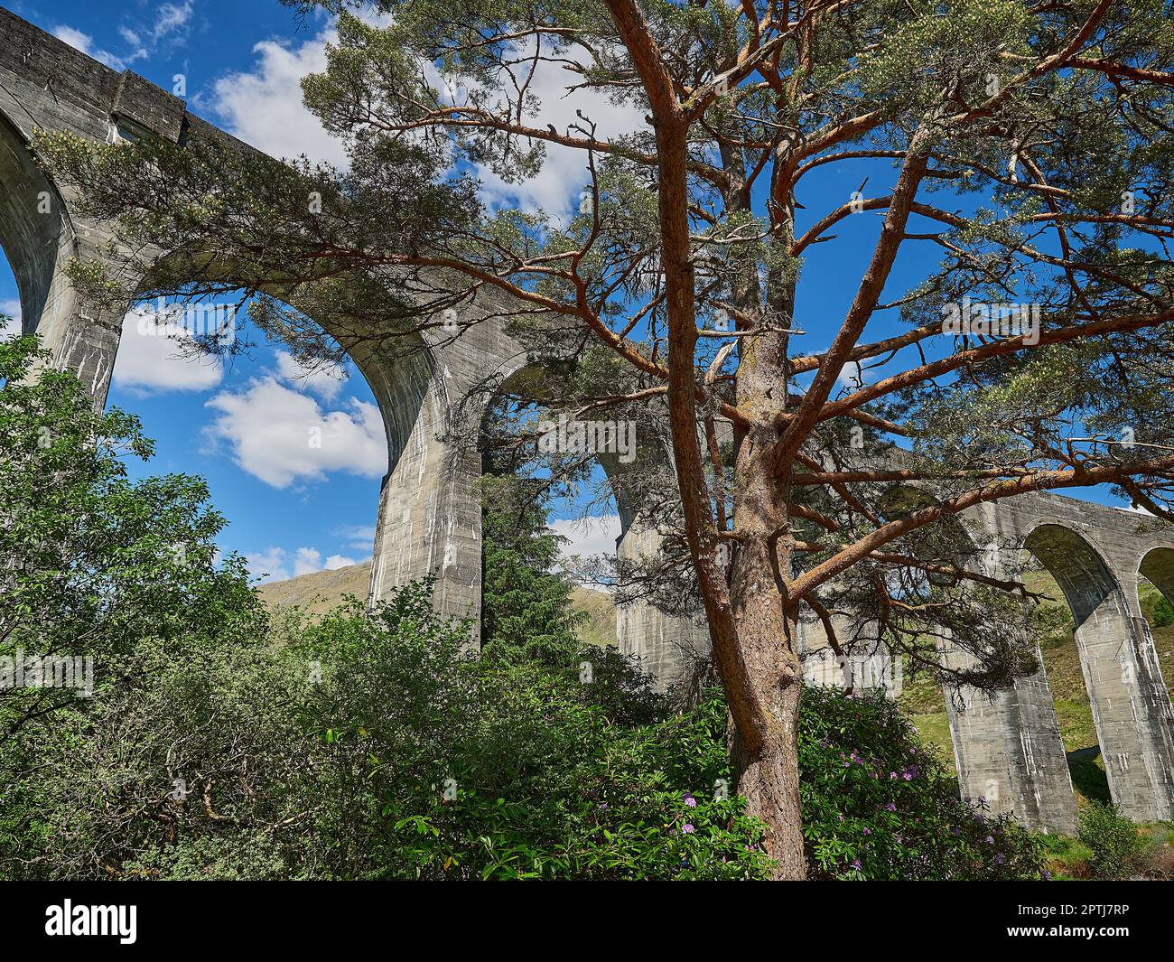 iconic Glenfinnan viaduct of the jacobite steam train in the scottish ...