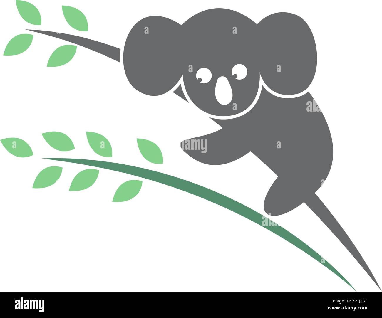 Koala head logo Stock Vector Images - Alamy