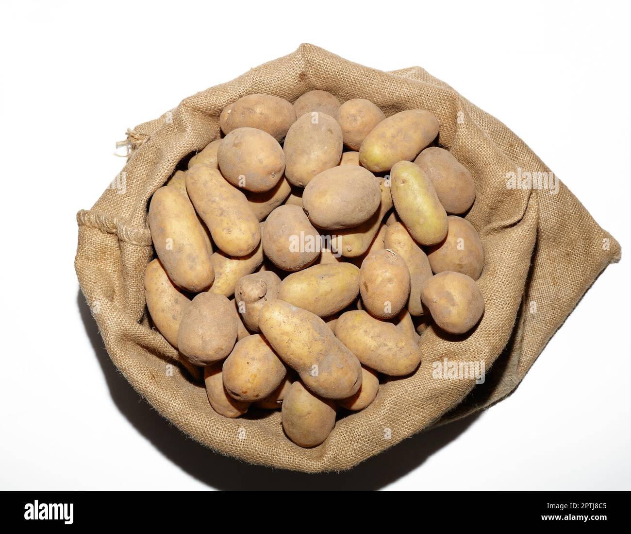 Potato in burlap sack. Isolated on white background Stock Photo - Alamy