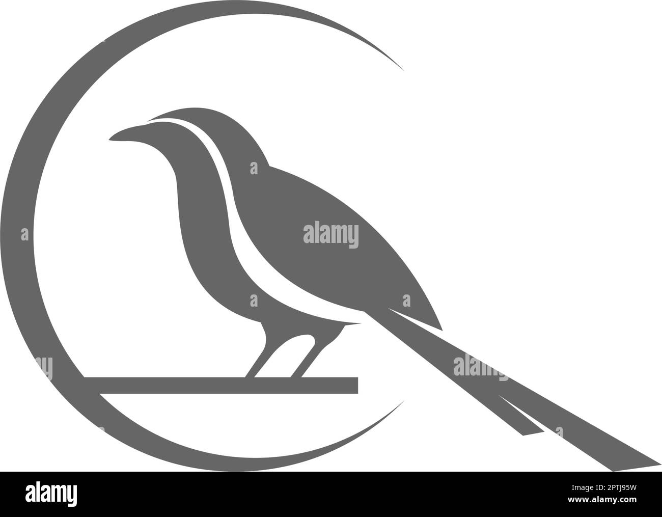 Magpie logo icon illustration design Stock Vector Image & Art - Alamy