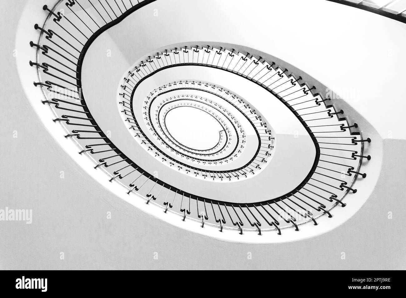 Shell structure Black and White Stock Photos & Images - Alamy