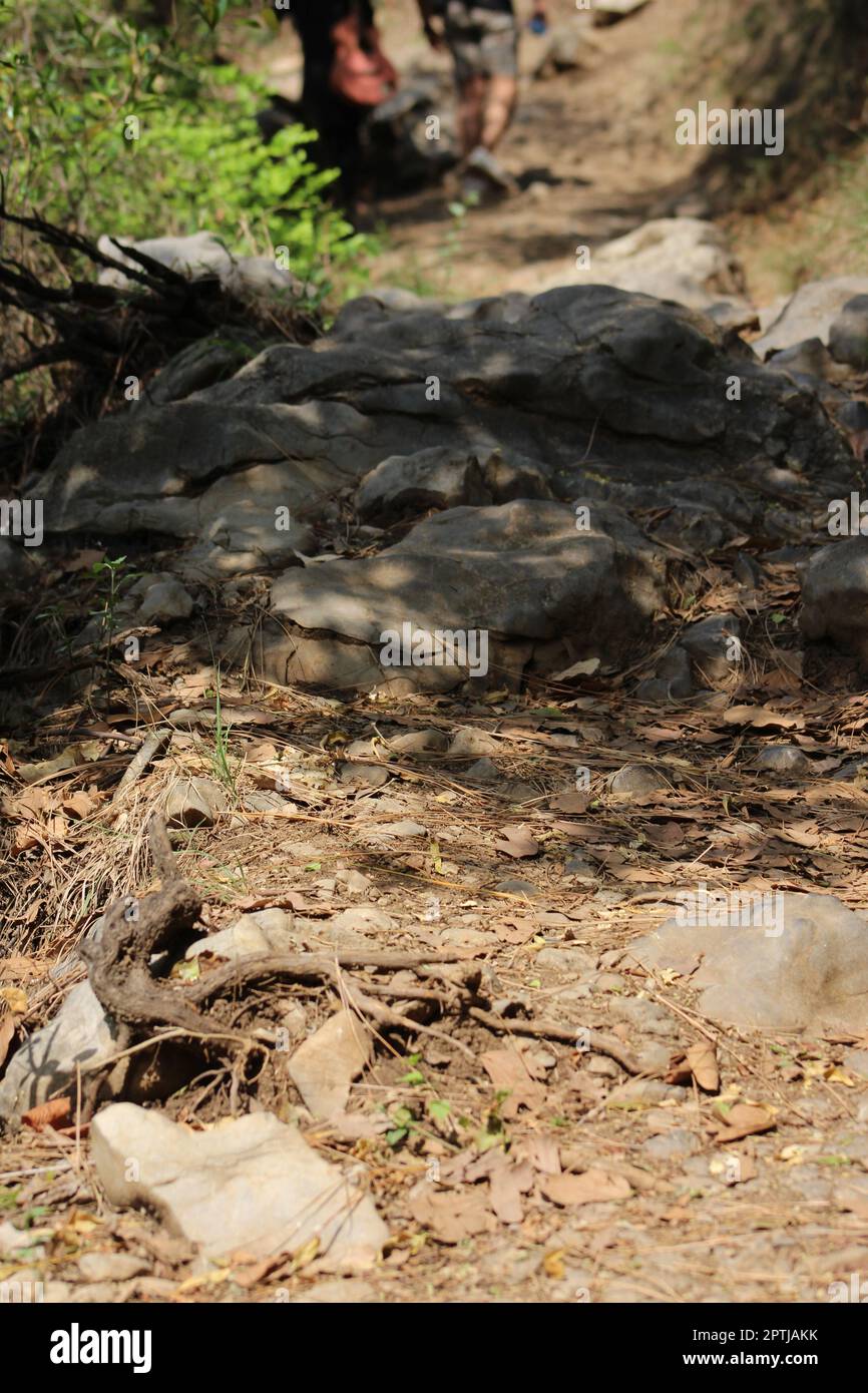 mountain hiking pathway Stock Photo - Alamy