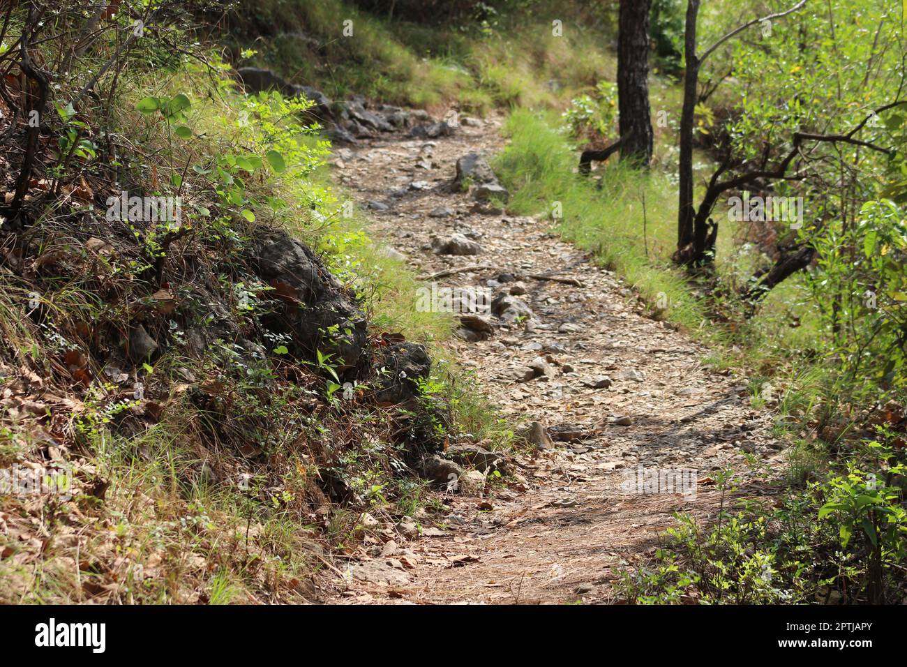 mountain hard pathway islamabad Stock Photo - Alamy