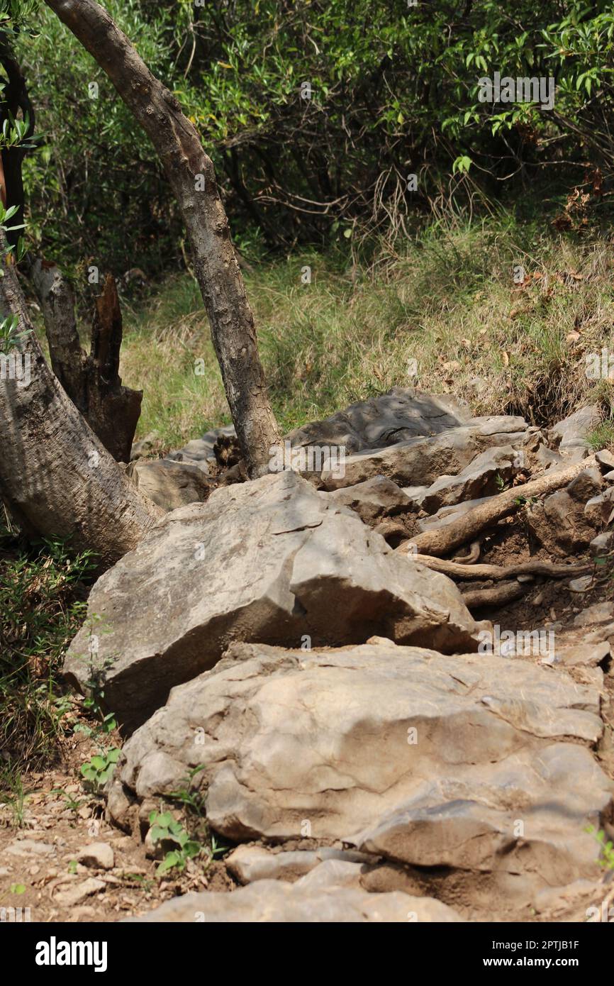 mountain hard hike pathway Stock Photo - Alamy