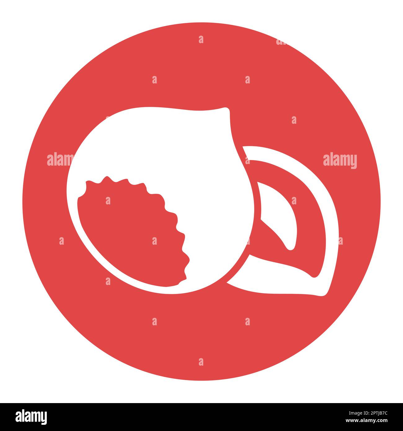 Hazelnut isolated design vector icon. Fruit sign Stock Vector Image ...