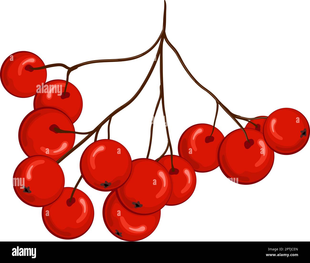 Berry design element hi-res stock photography and images - Alamy