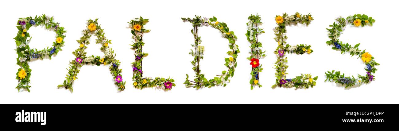 Colorful Flowers Building Word Paldies, Isolated Background Stock Photo ...
