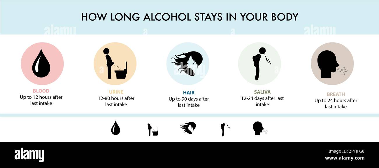 Alcohol in the body Stock Photo - Alamy