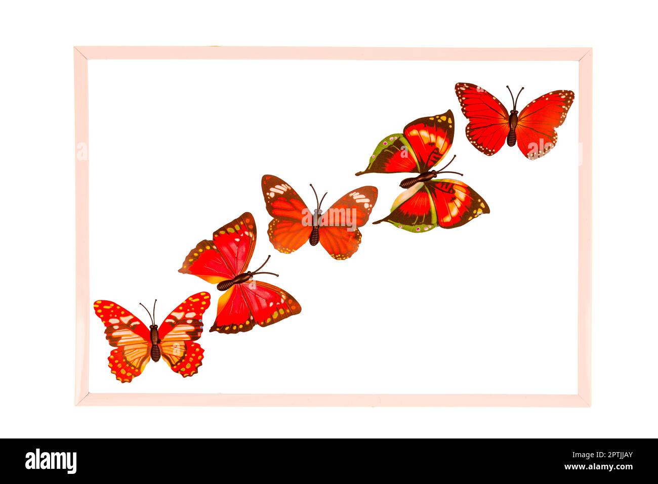 a decoration with fake colored butterflies on a transparent background ...