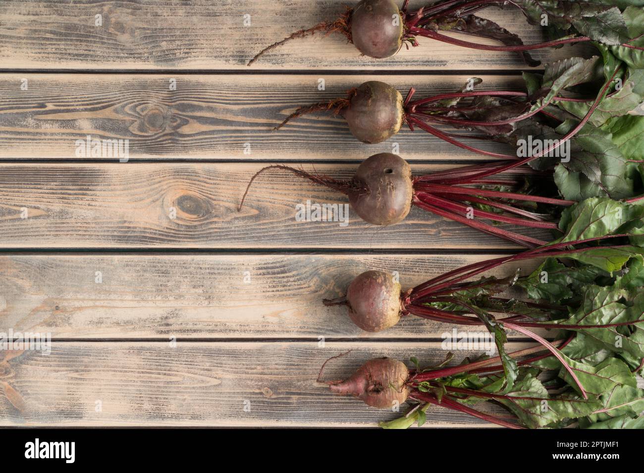 Layout of fresh, clean purple beet roots with stems and leaves on ...