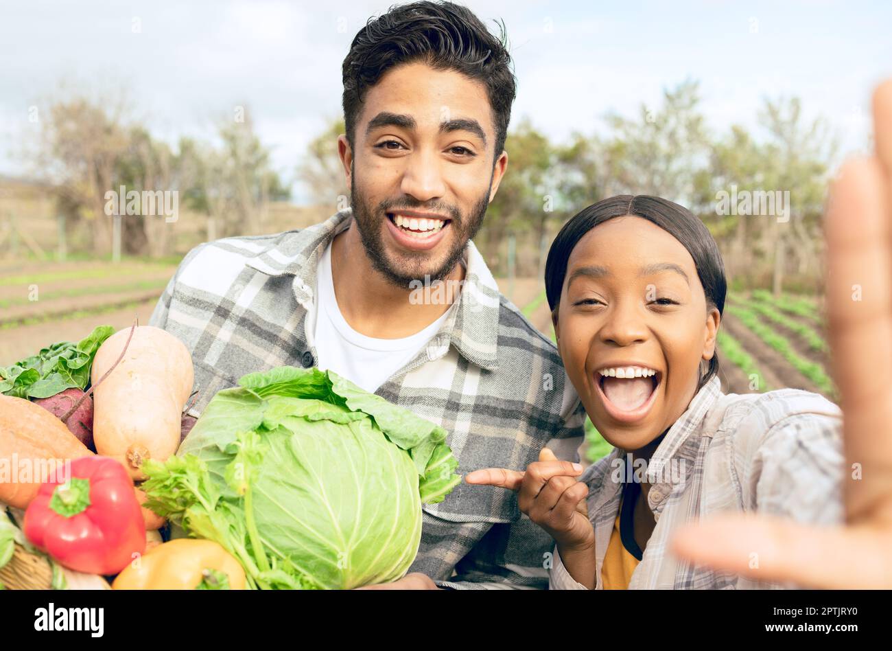 Vegetables, agriculture and farmer couple on farm, sustainable farming ...