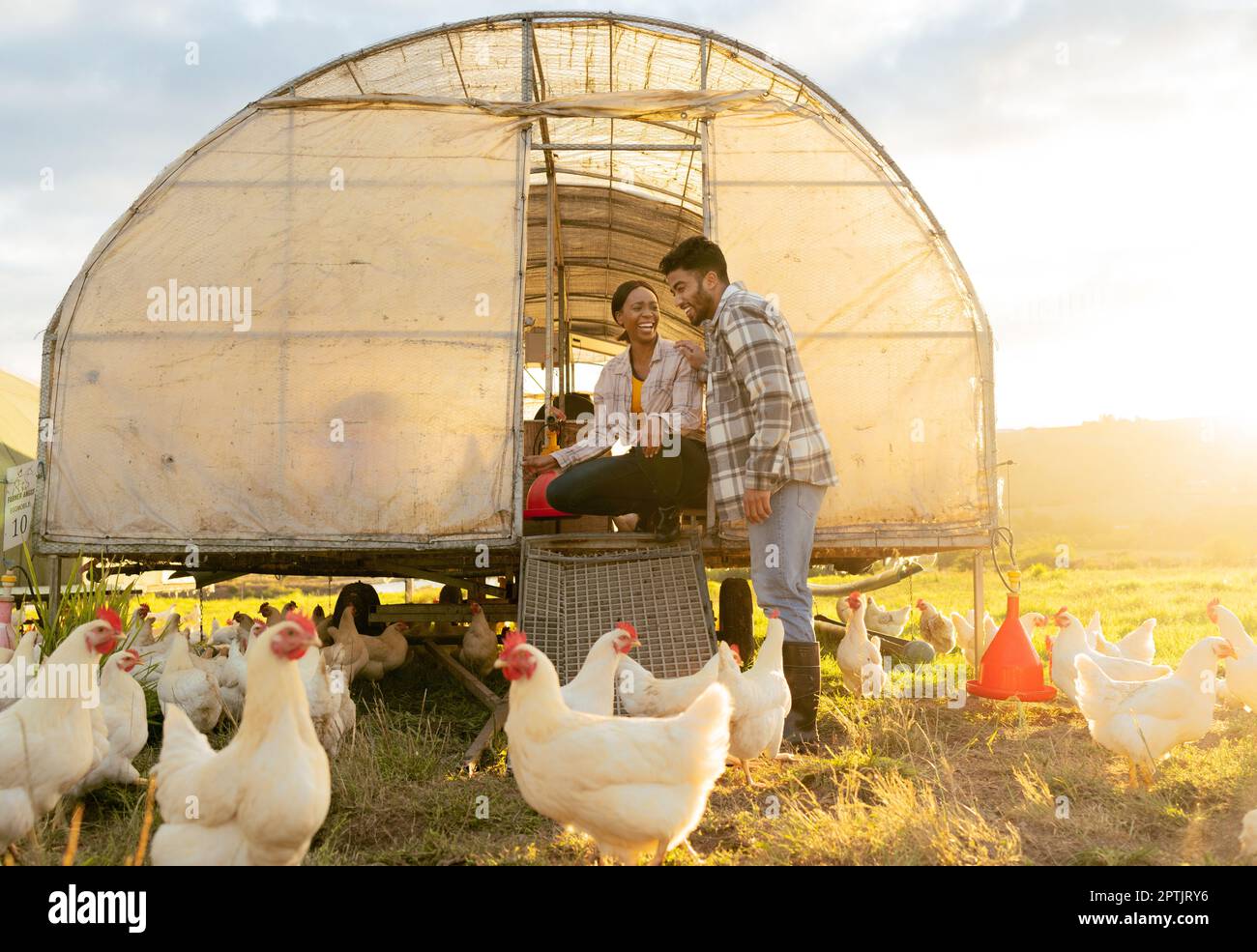 Farm, chicken and man and woman on agriculture field in the countryside ...