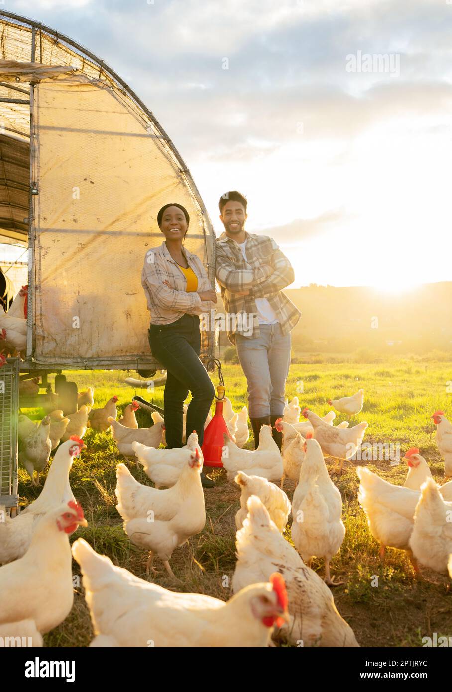 Chicken, farm and man and woman portrait of farmer team working ...