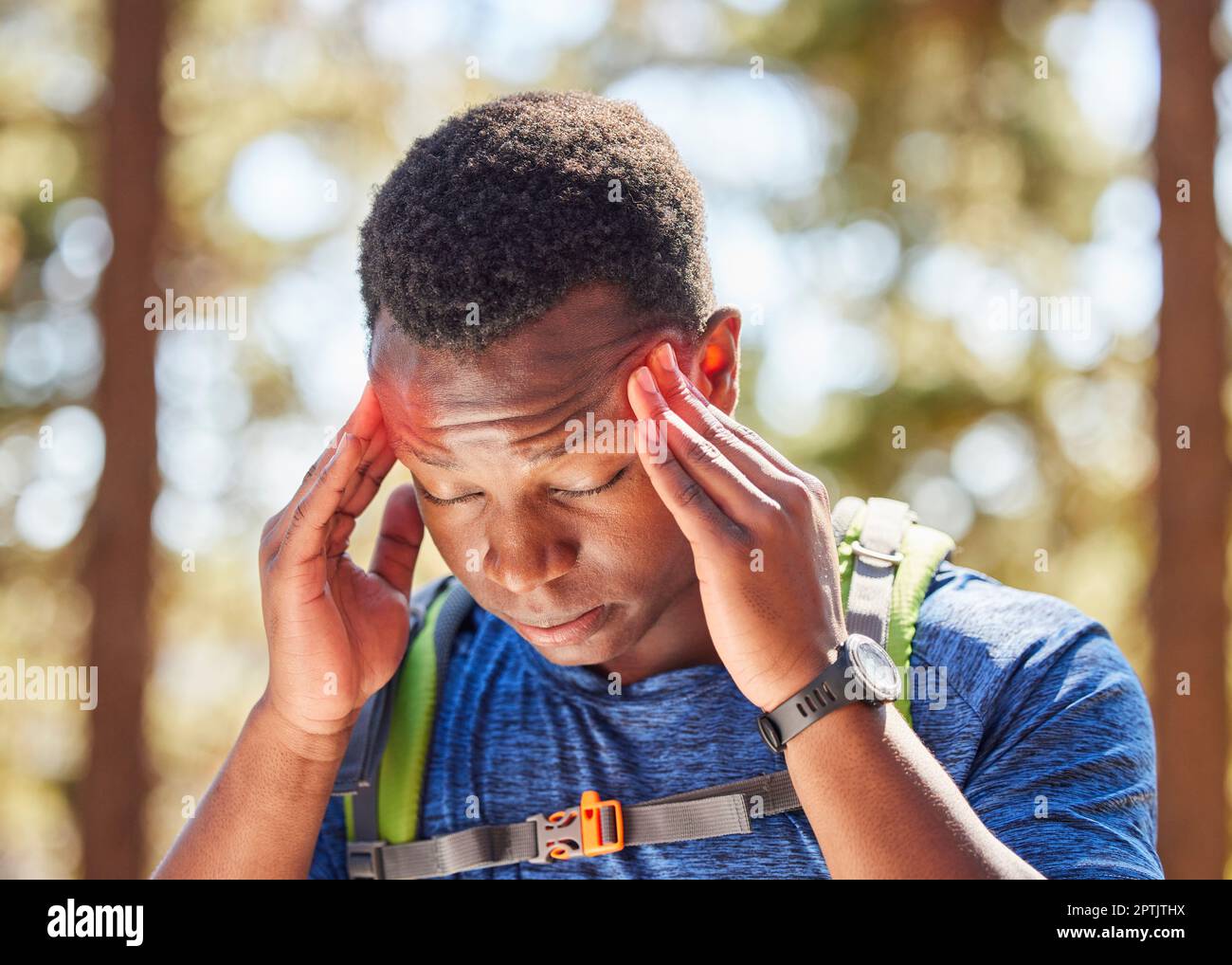 Stressed stress trees hi-res stock photography and images - Alamy