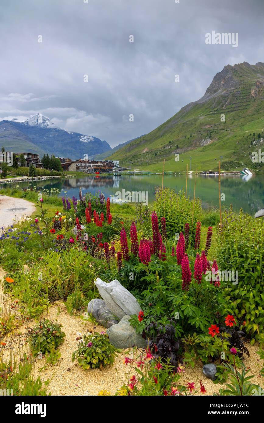Spring and summer landscape, Tignes, Vanoise national park, France ...
