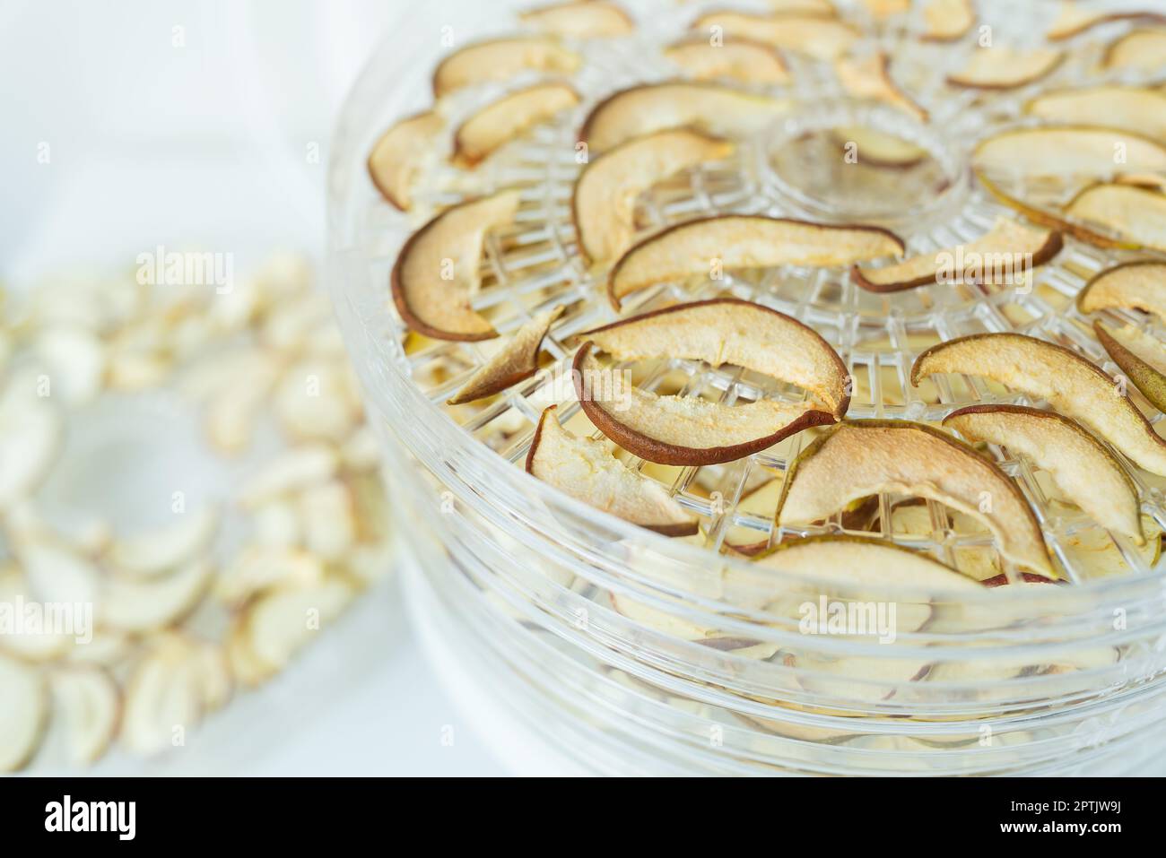 The process of homemade dried fruit or candied fruit in an electric ...
