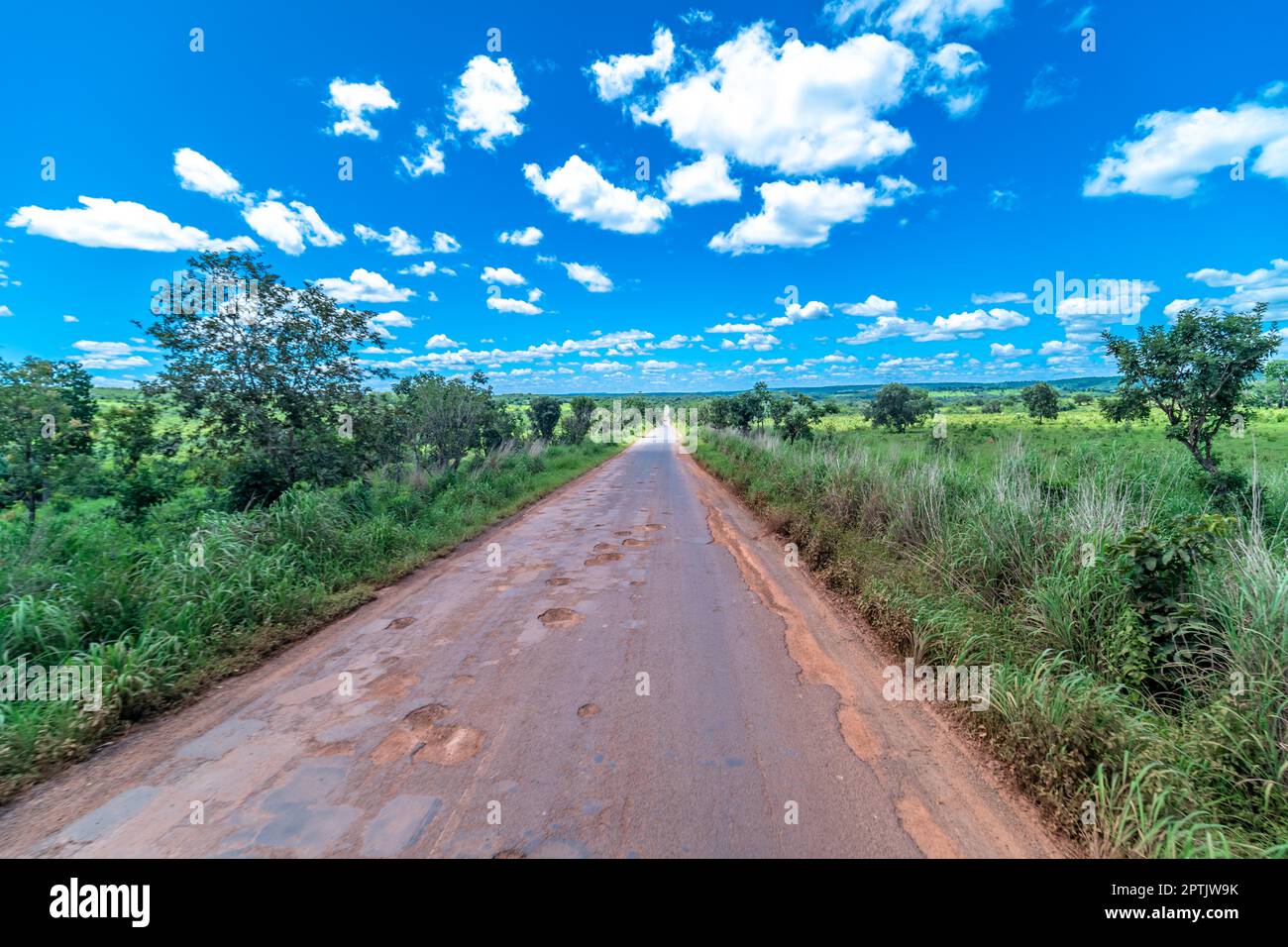 Amazon highway in brazil hi-res stock photography and images - Alamy