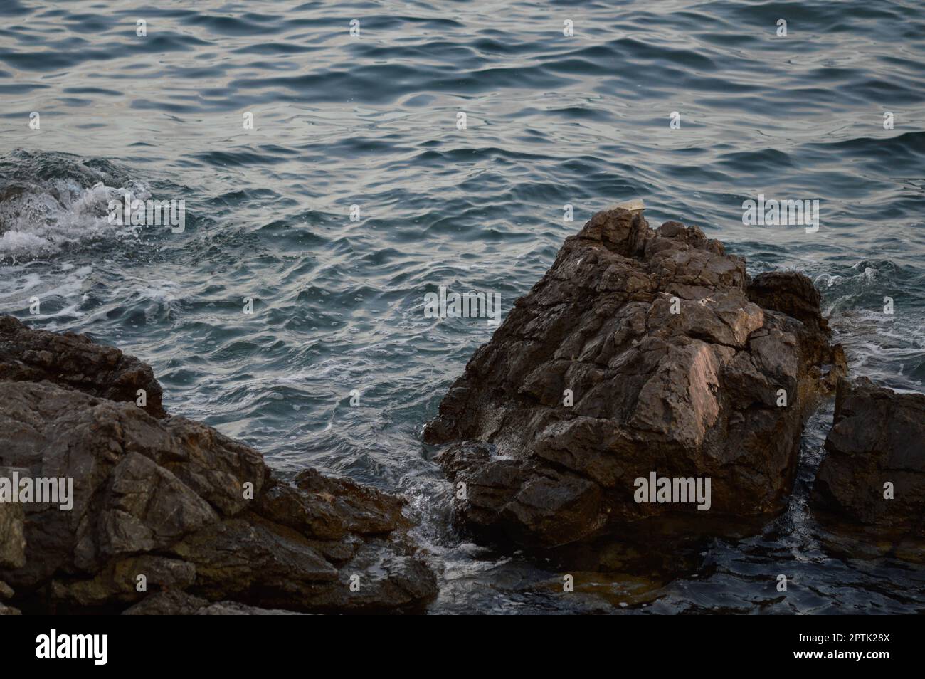 Sea waves crashing into rocks.Sea waves crashing into rocks. Storm at ...