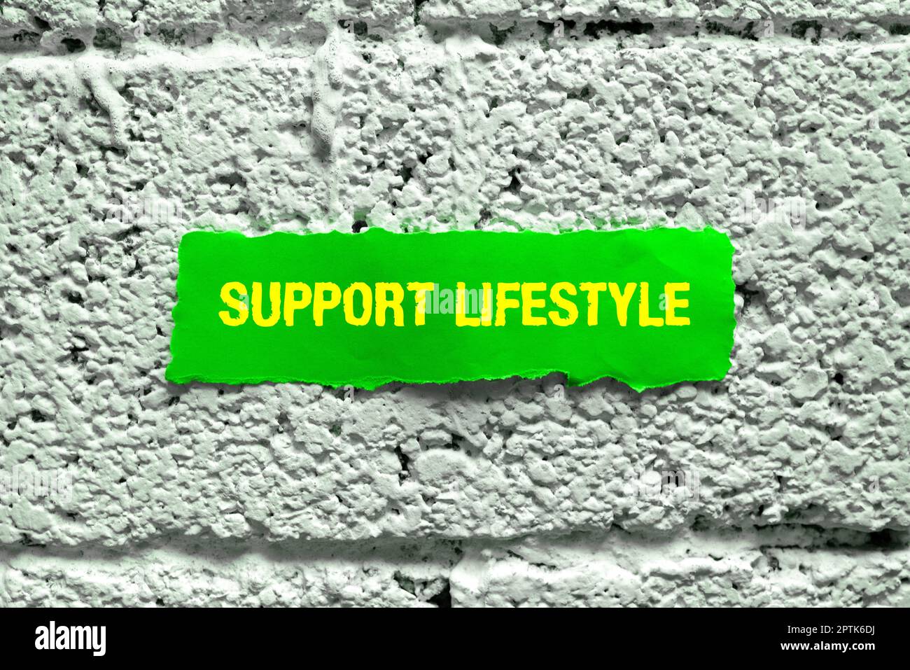 Conceptual display Support Lifestyle, Word for habits that are typical ...