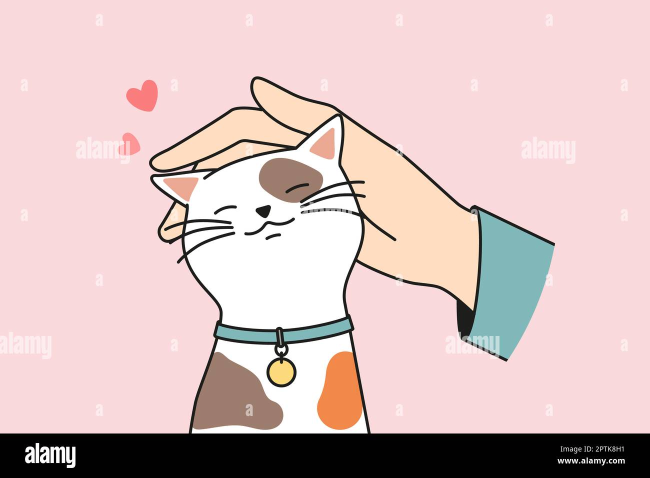 Person hand caress cute fluffy cat. Man or woman cuddle stroke happy ...