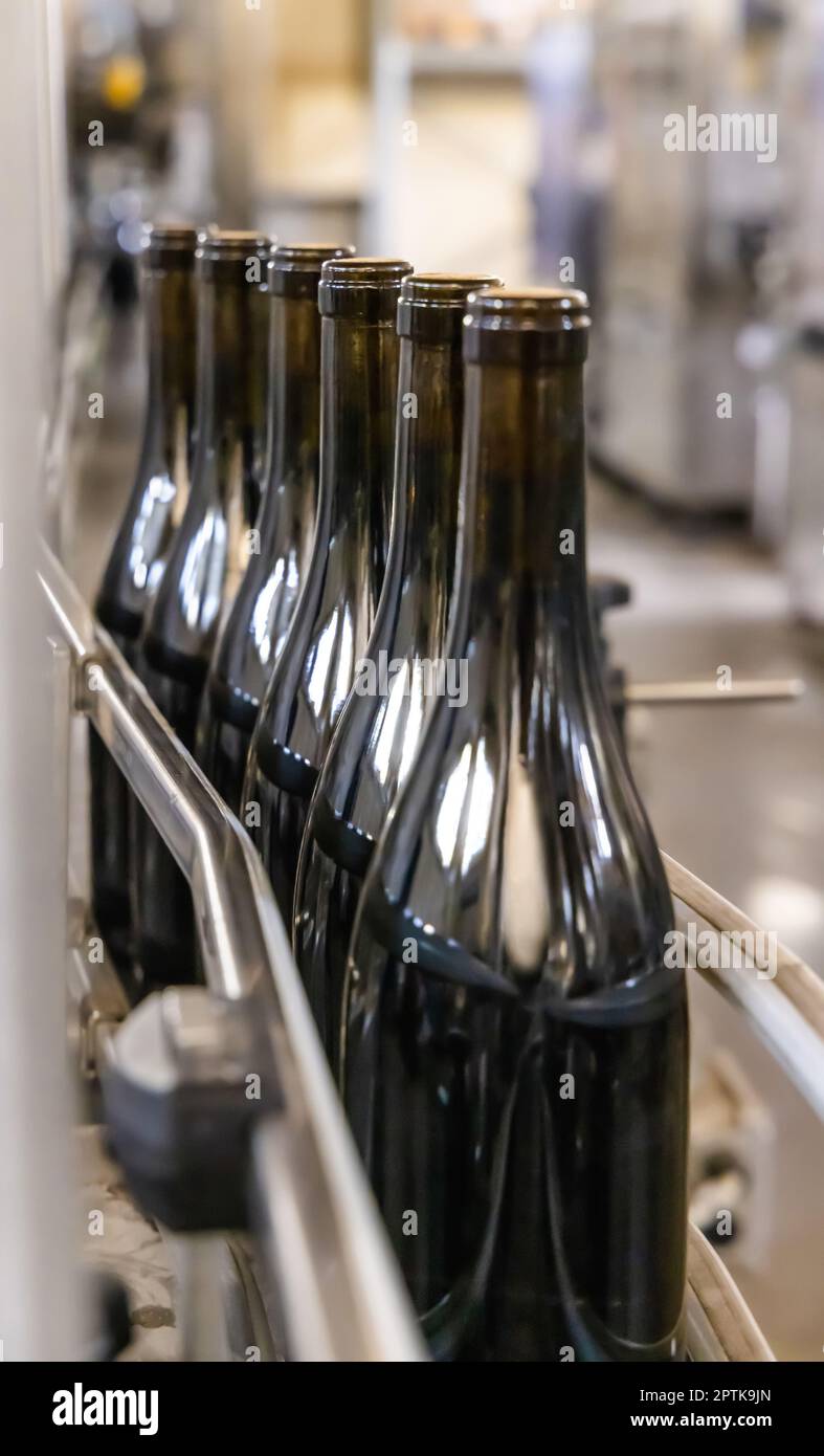 Dark glass bottles being filled with wine by industrial bottling ...