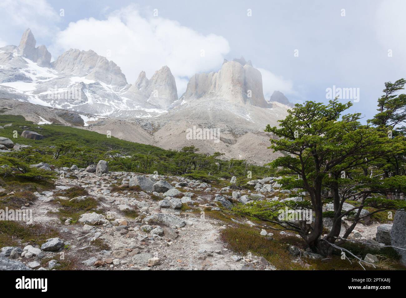 French Valley landscape, Torres del Paine National Park, Chile. Cuernos ...