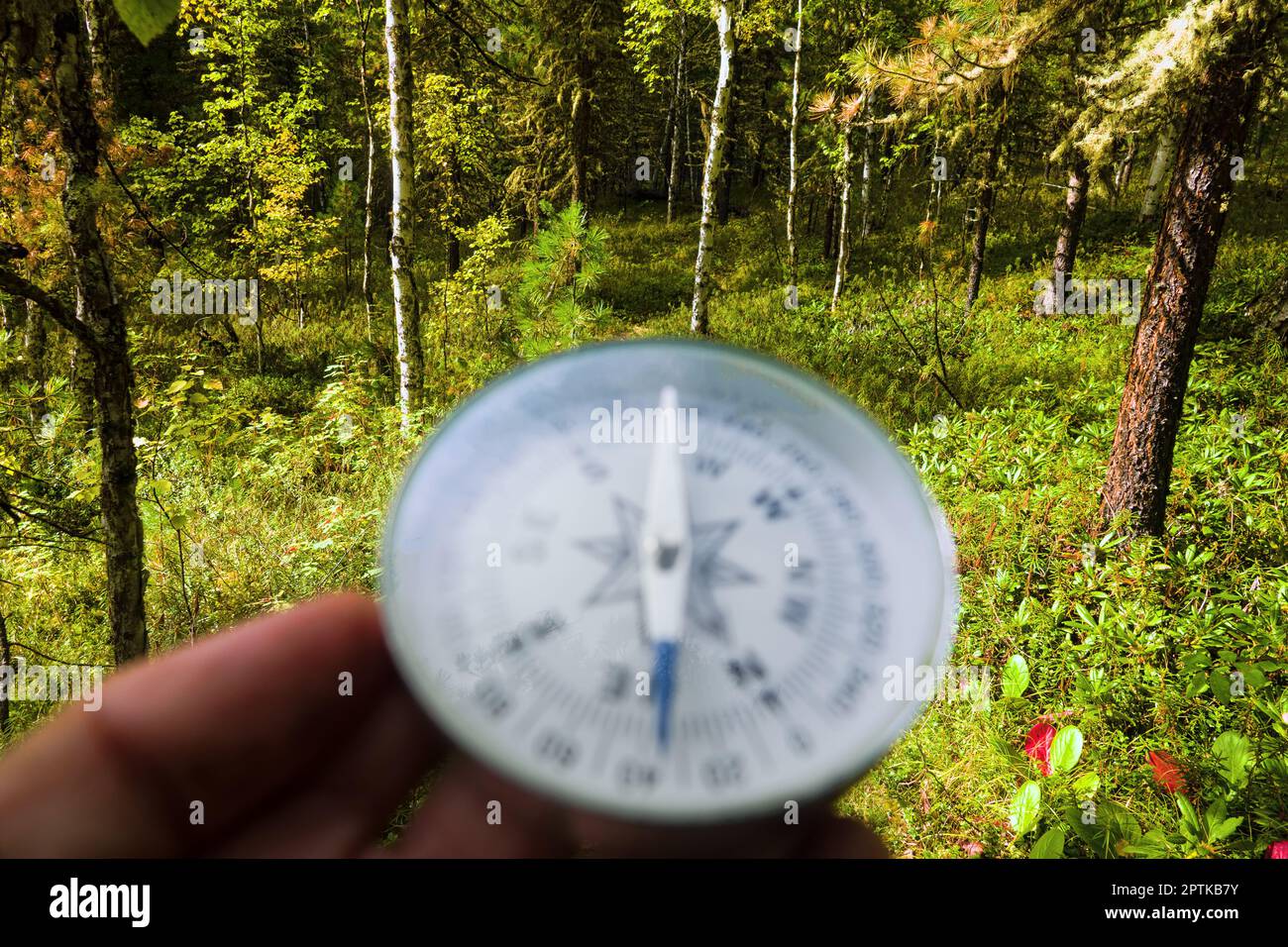 The right compass is always needed for travelers, adequate course ...