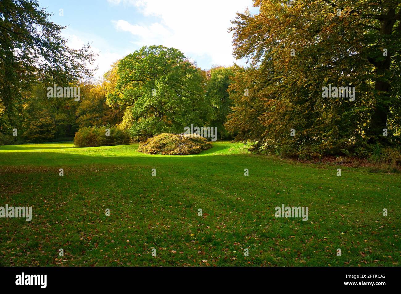 Frederiksborg Castle Park in autumn with mighty deciduous trees on the ...