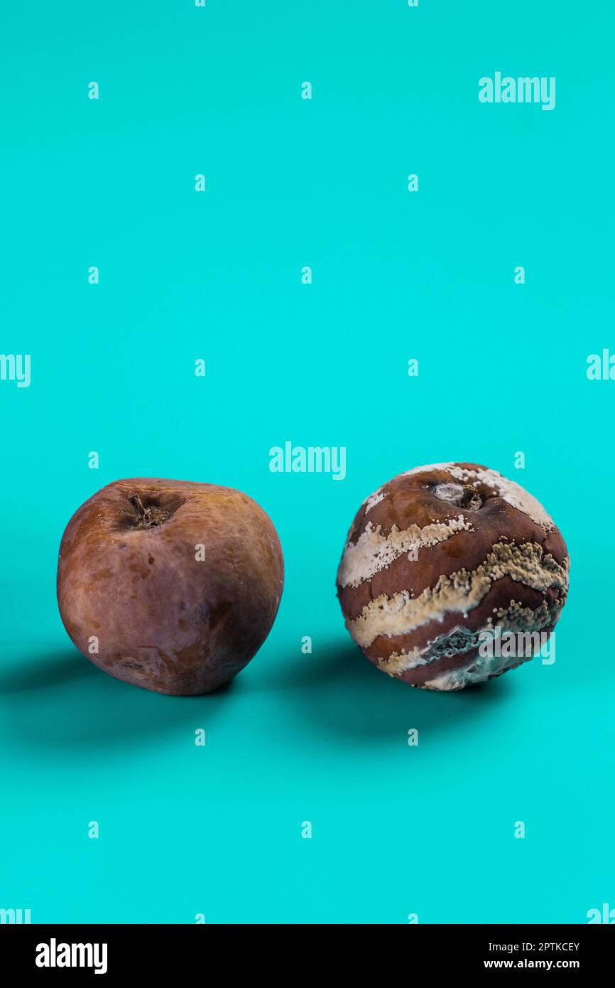 Apple with mold and fresh apple on beige background - mold growth and ...