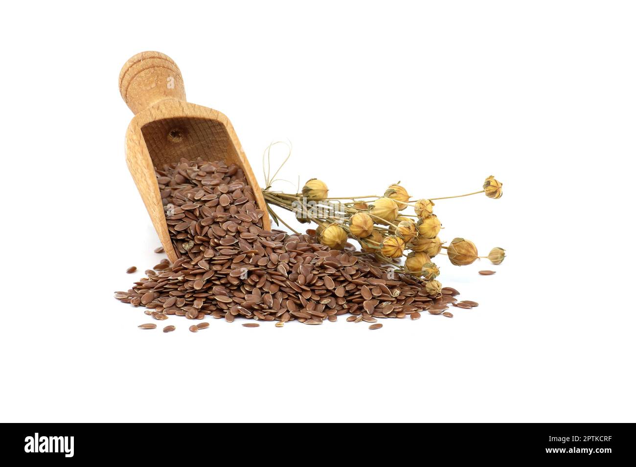 Linseed in wooden scoop near bunch of flax plants isolated on white background. Linum ...