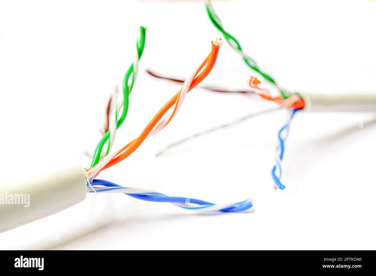 Cut up white network cable or patch cable in cross section Stock Photo ...