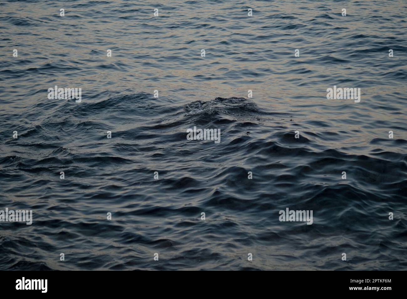 Sea water, small wave, calm clear water, ocean water Stock Photo - Alamy