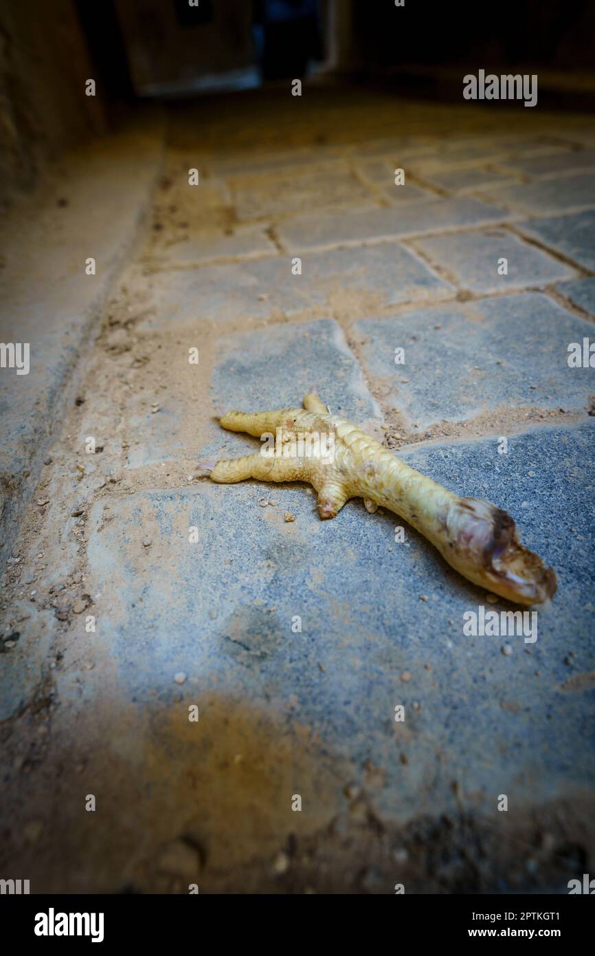 sectioned chicken leg in an alley Fez, morocco, africa Stock Photo - Alamy