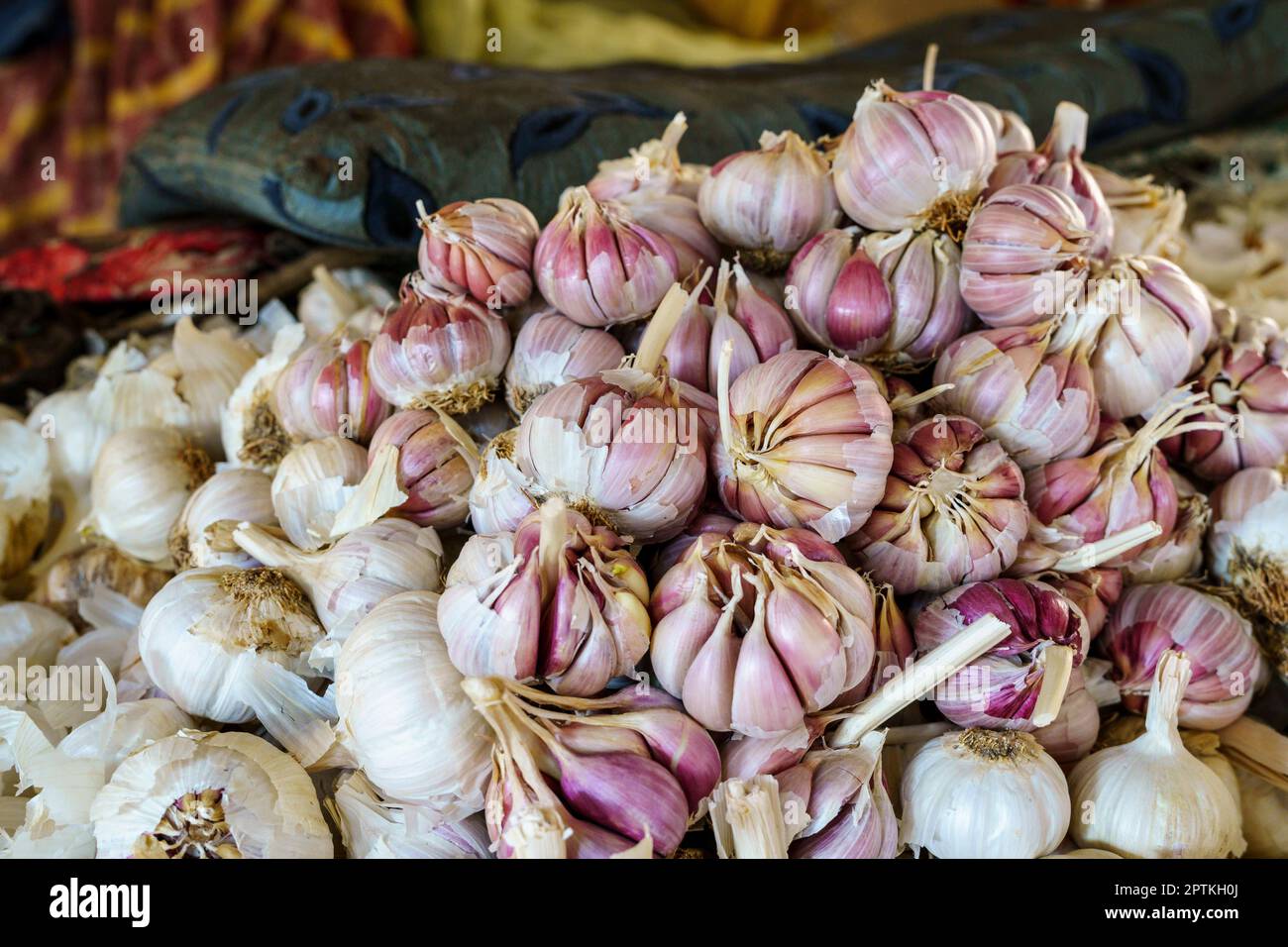heads of garlic in the market, Fez, morocco, africa Stock Photo - Alamy