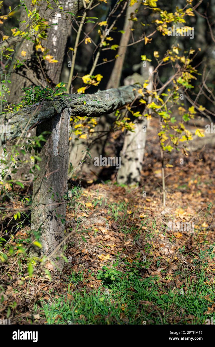 Fall protection barrier wooden hi-res stock photography and images - Alamy