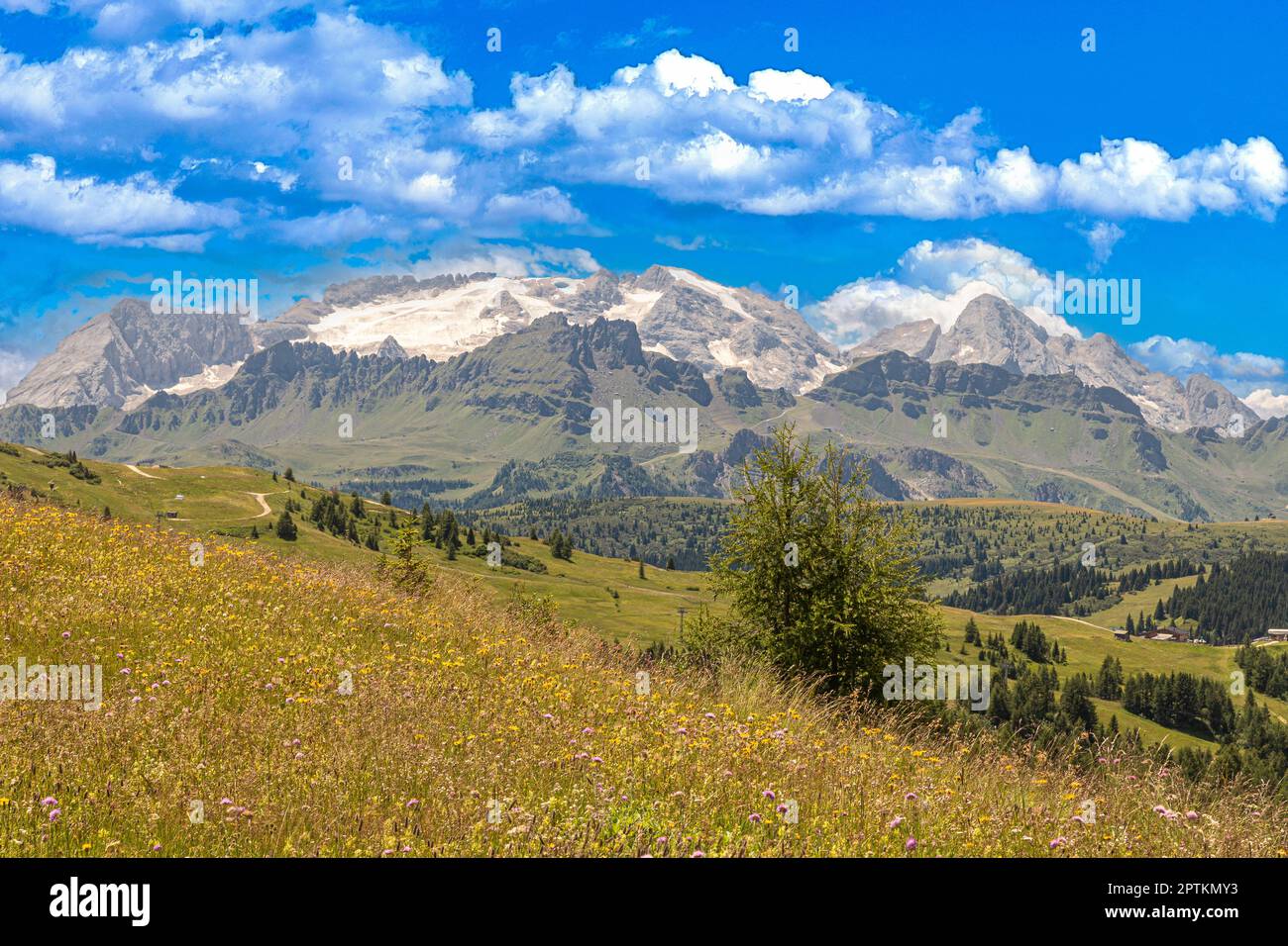 Dolomiti Alps in Alta Badia landscape amd peaks view, Trentino Alto ...