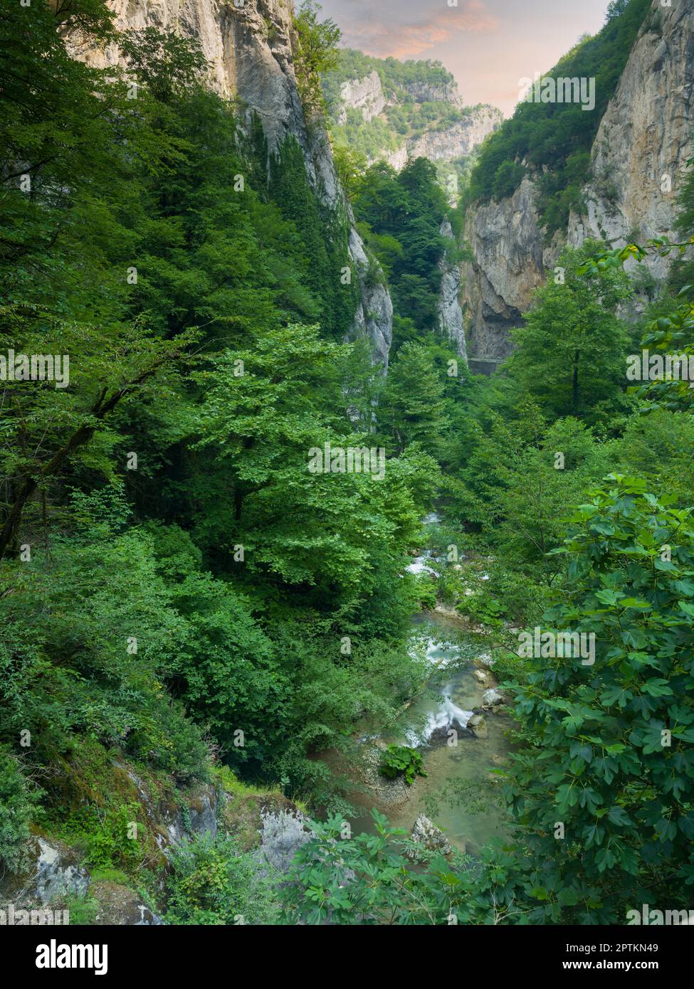Sugar garden turkey hi-res stock photography and images - Alamy