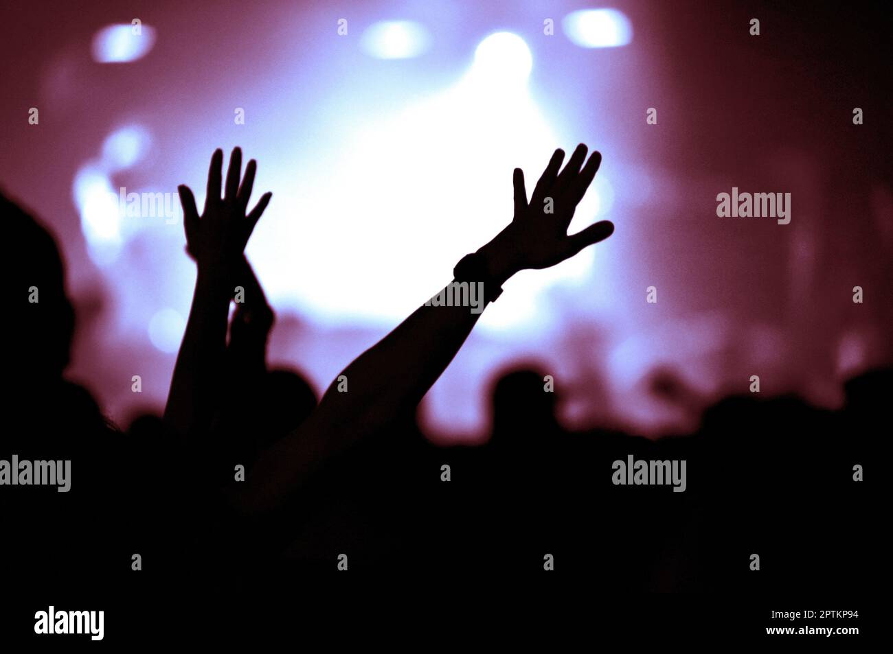 Silhouette of hands, crowd at a music concert with raising hands up ...