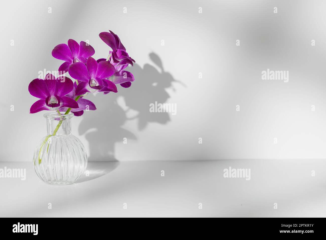 Sprig of purple orchid in vase on white background, free copy space, horizontal photo. Flower ...