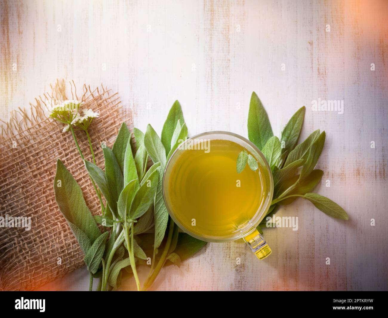 Sage tea on rustic white table. Healthy herbal teas concept Stock Photo ...