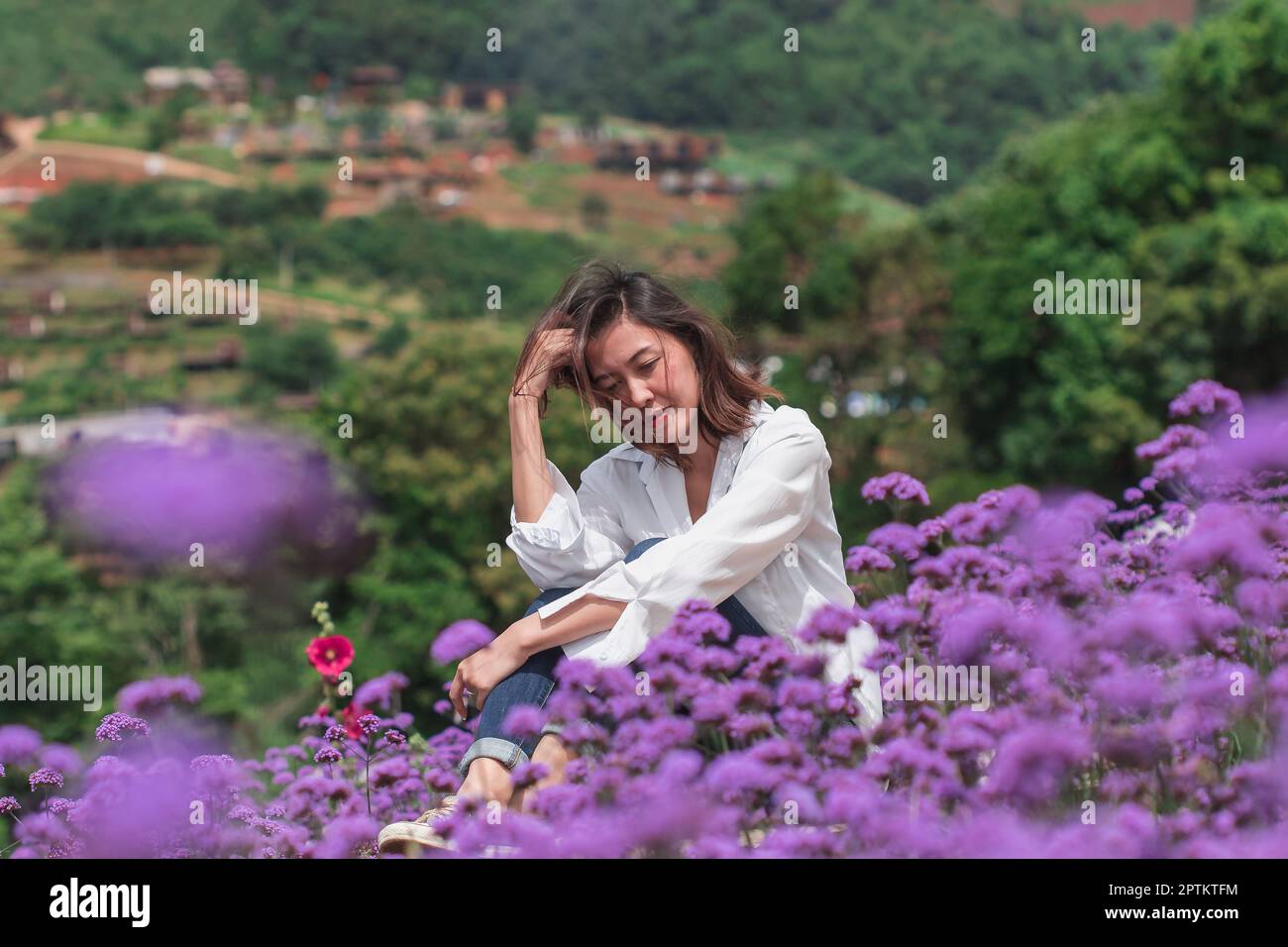 Women in the Verbena field are blooming and beautiful in the rainy ...