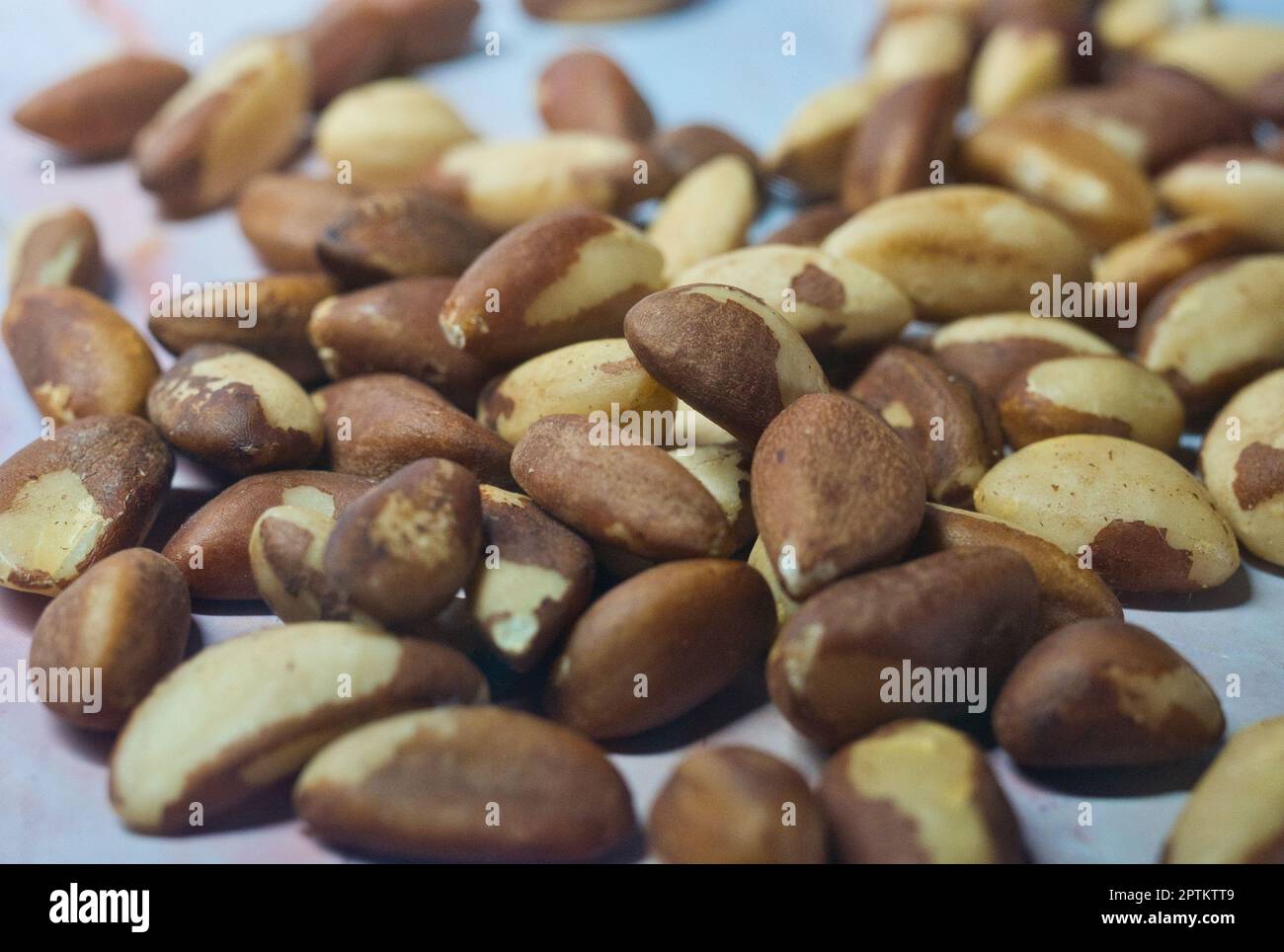 Brazil Nuts heart healthy snake close up shot Stock Photo - Alamy