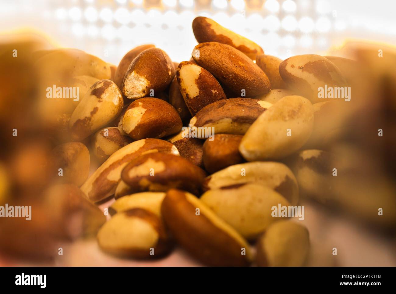 Brazil Nuts heart healthy snake close up shot Stock Photo - Alamy